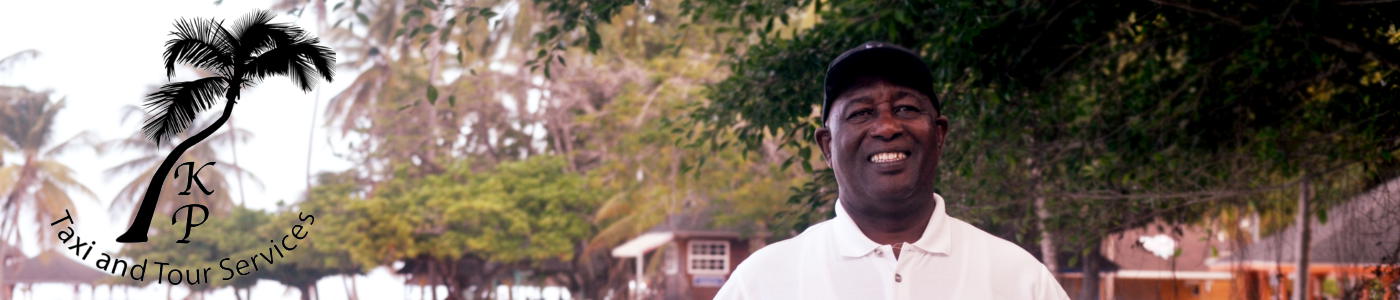 Hire Official Taxi Service & Tours in Tobago Today - Tobago Taxi & Tours